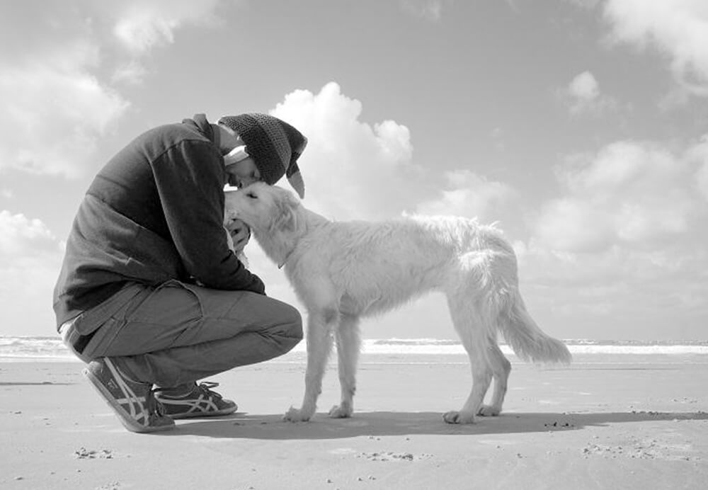 Welcome! - Human-Animal Interaction