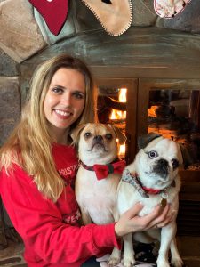 Creating a Fear Free Happy Holiday Season for Pets - Human-Animal ...