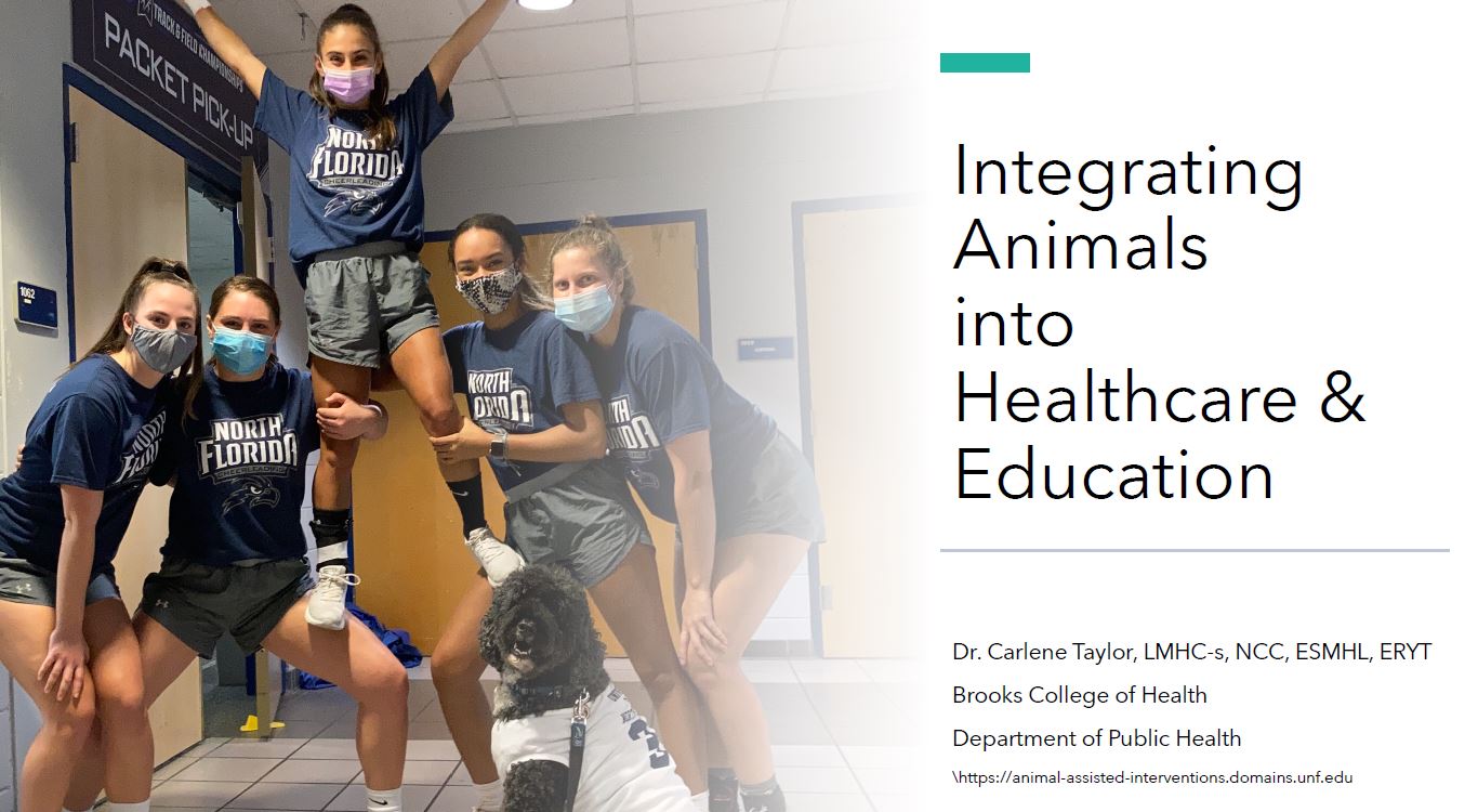 AAI integration in education - Human-Animal Interaction