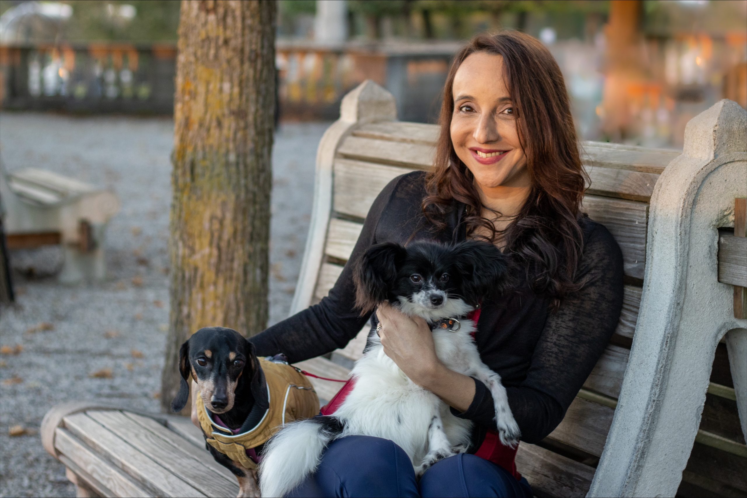 My ‘Perfect’ Dog: Undesired Dog Behaviours and Owners’ Coping Styles ...