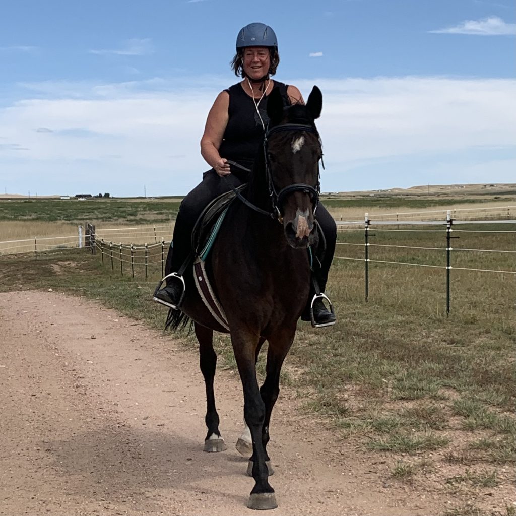 Equine-assisted psychotherapy - Human-Animal Interaction