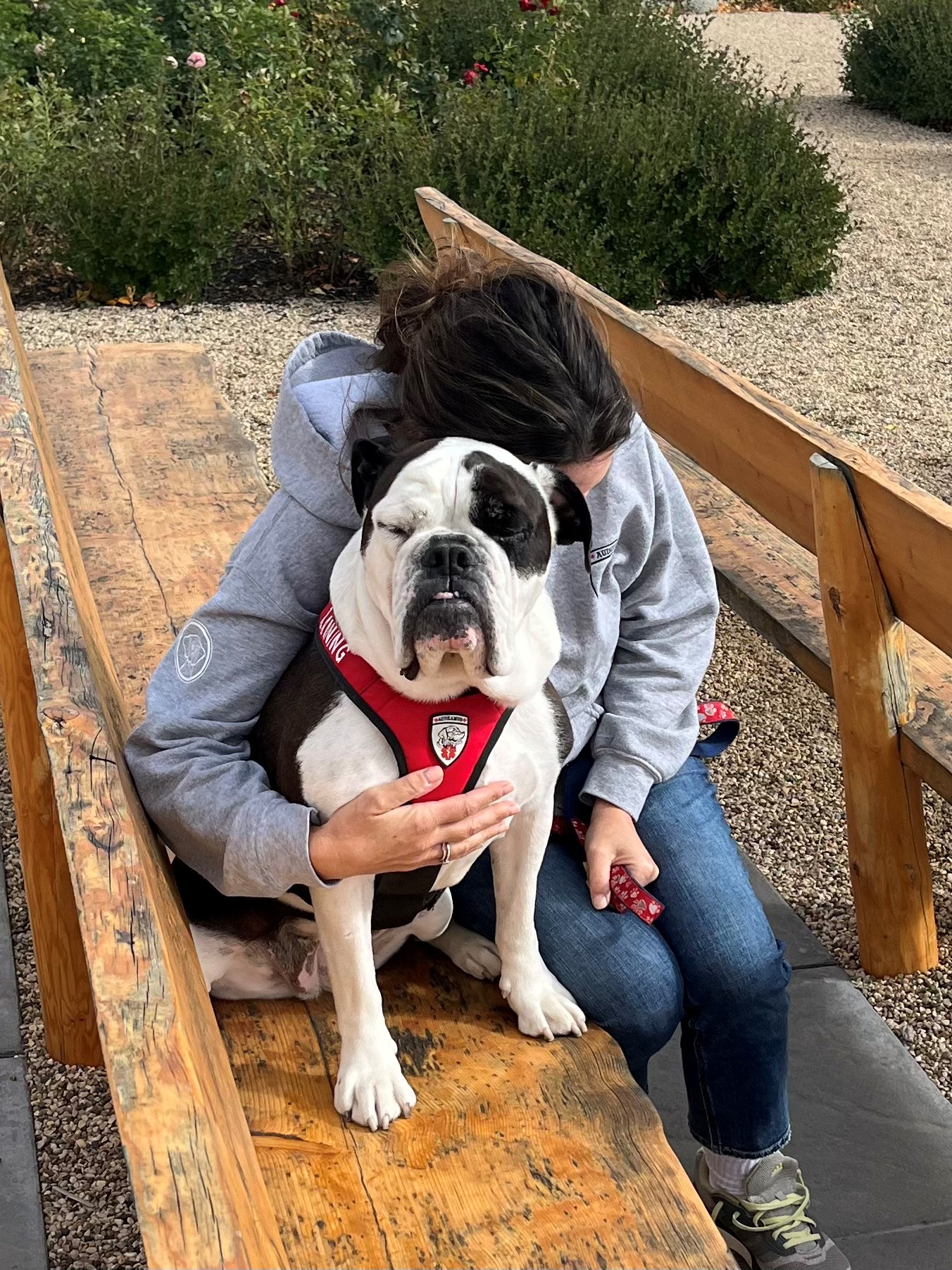 The role of the human-canine bond in recovery from substance use ...