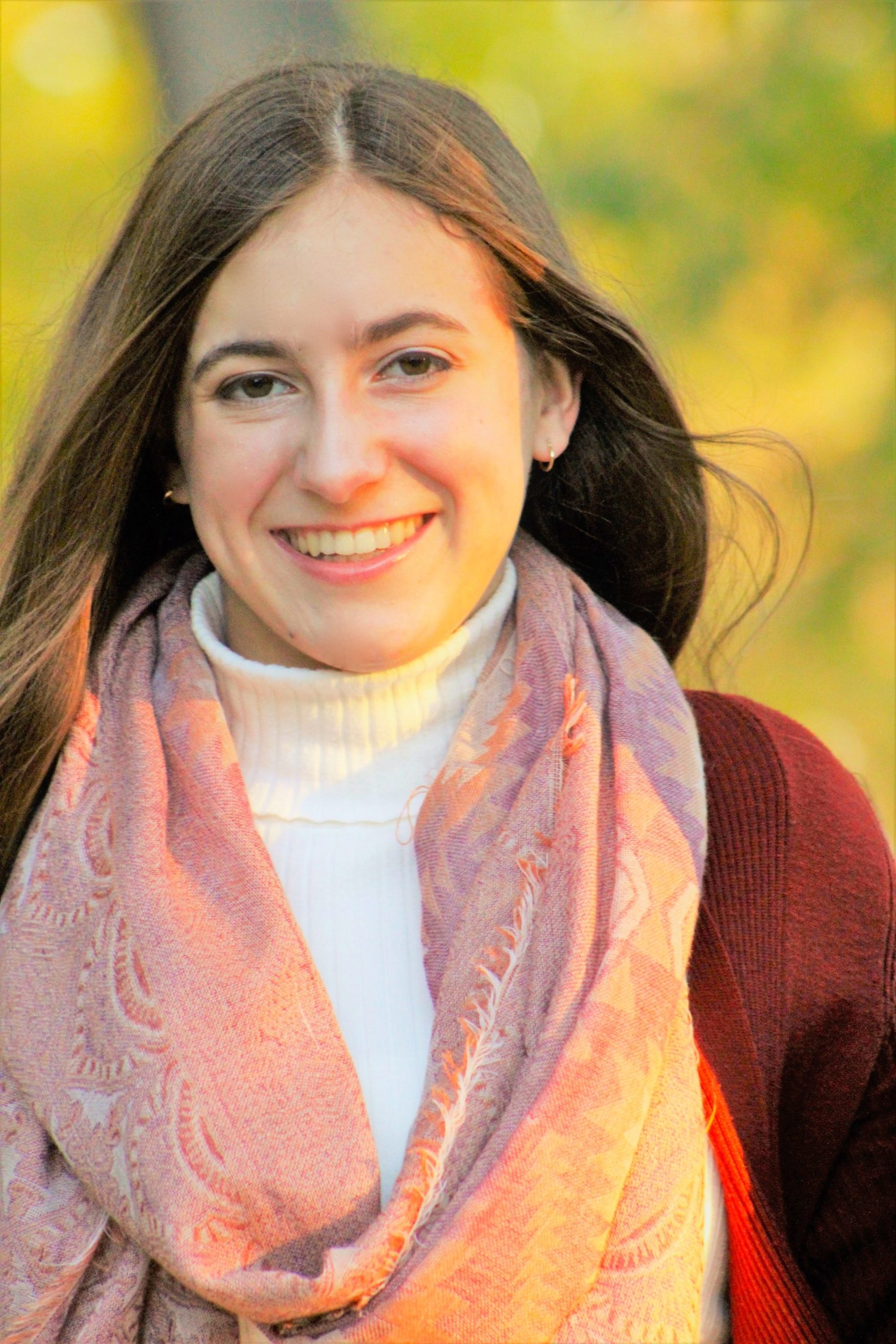 How tourism affects animals and, sometimes conversely, how animals ...